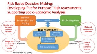 Chemical Risk Assessment and Translation to Socio-Economic Assessments ...