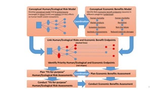 Chemical Risk Assessment and Translation to Socio-Economic Assessments ...