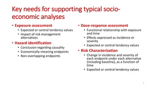 Chemical Risk Assessment and Translation to Socio-Economic Assessments ...