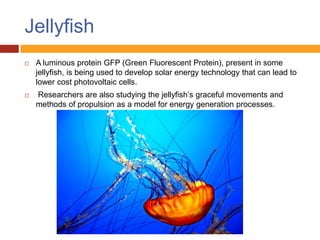 Weird alternate energy sources | PPT