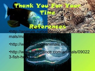 Weird animals school project | PPT