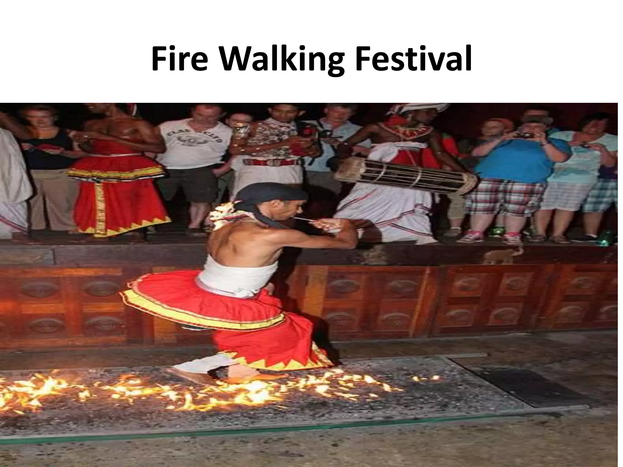 Weird Cultural Rituals | PPT