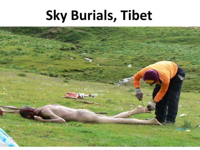 Weird Cultural Rituals | PPT
