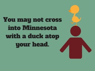 Weird Minnesota Laws | PDF | Comedy | Genres