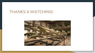 Weird museums | PPTX