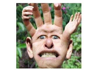 Weird Photoshop Images | PPT