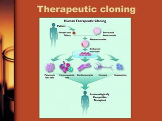 HS Biology - Biotechnology (gen. engineering, cloning, stem cells) | PDF