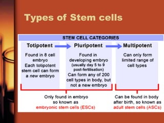 HS Biology - Biotechnology (gen. engineering, cloning, stem cells) | PDF