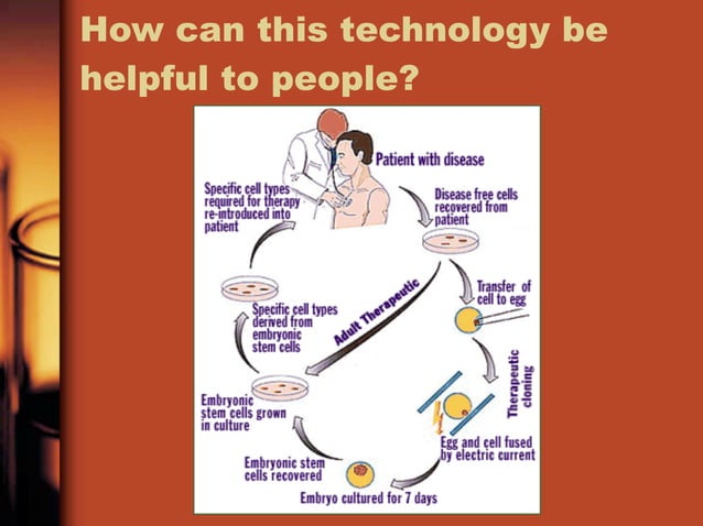 HS Biology - Biotechnology (gen. engineering, cloning, stem cells) | PPT