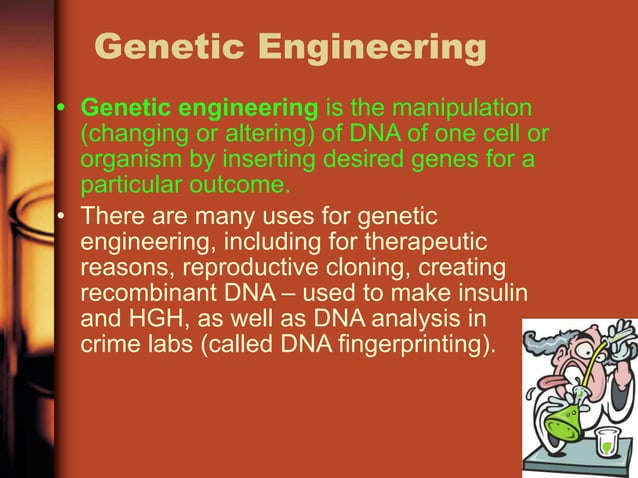 HS Biology - Biotechnology (gen. engineering, cloning, stem cells) | PPT