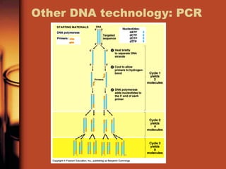HS Biology - Biotechnology (gen. engineering, cloning, stem cells) | PDF