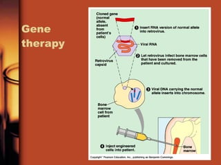 HS Biology - Biotechnology (gen. engineering, cloning, stem cells) | PDF
