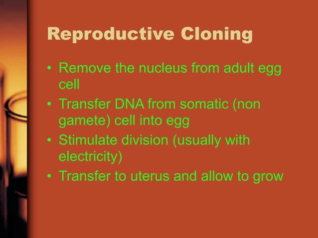 HS Biology - Biotechnology (gen. engineering, cloning, stem cells) | PPT