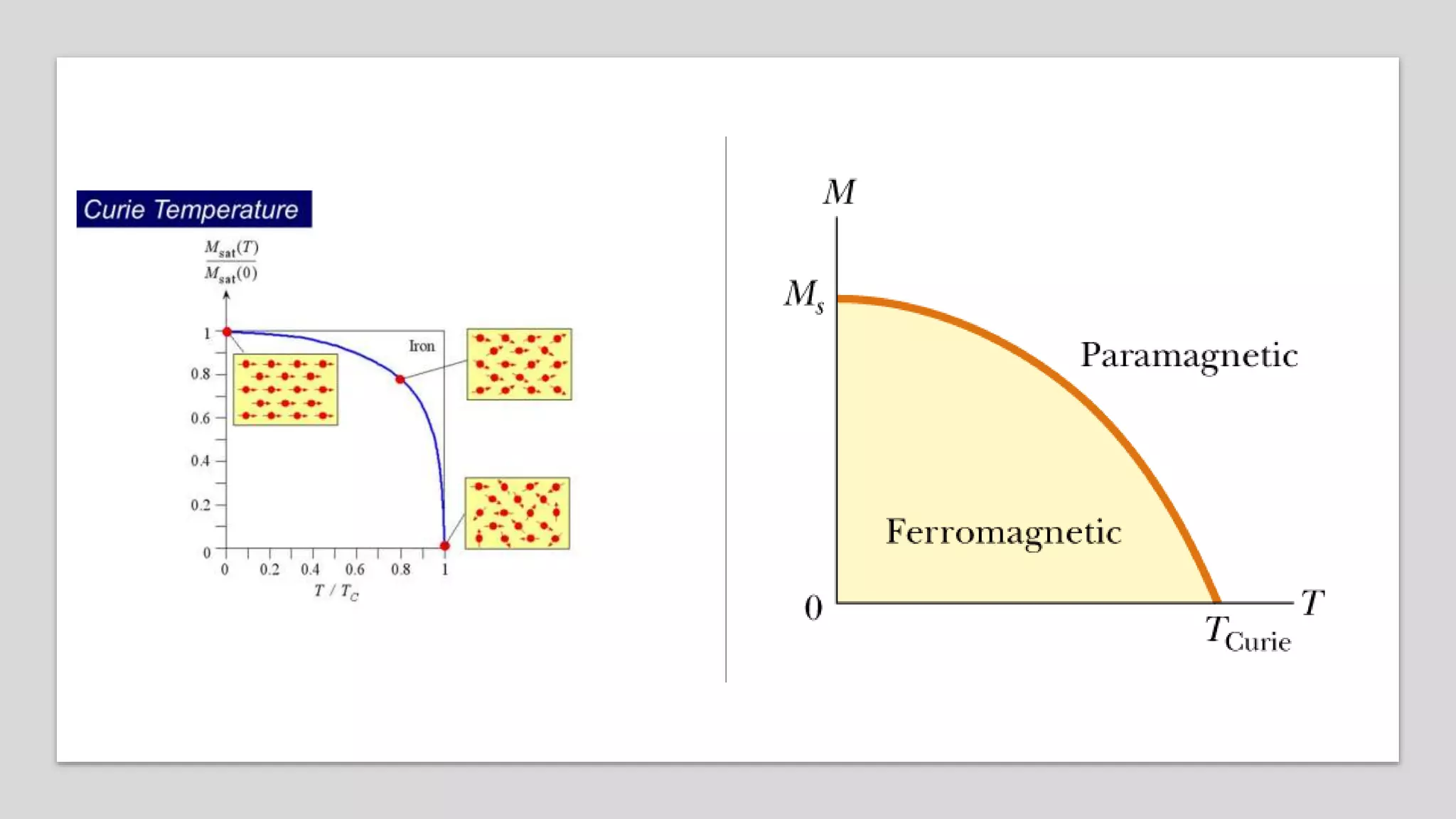 Weiss field model | PPTX