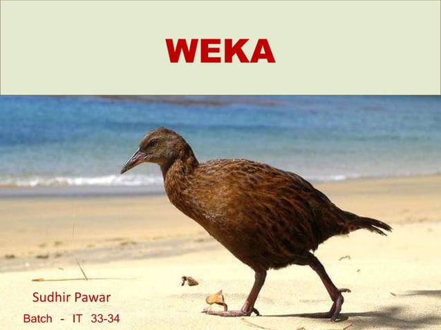 Weka | PPT