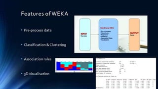 Weka bike rental | PPTX