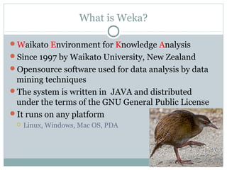 Weka introducing | PPT