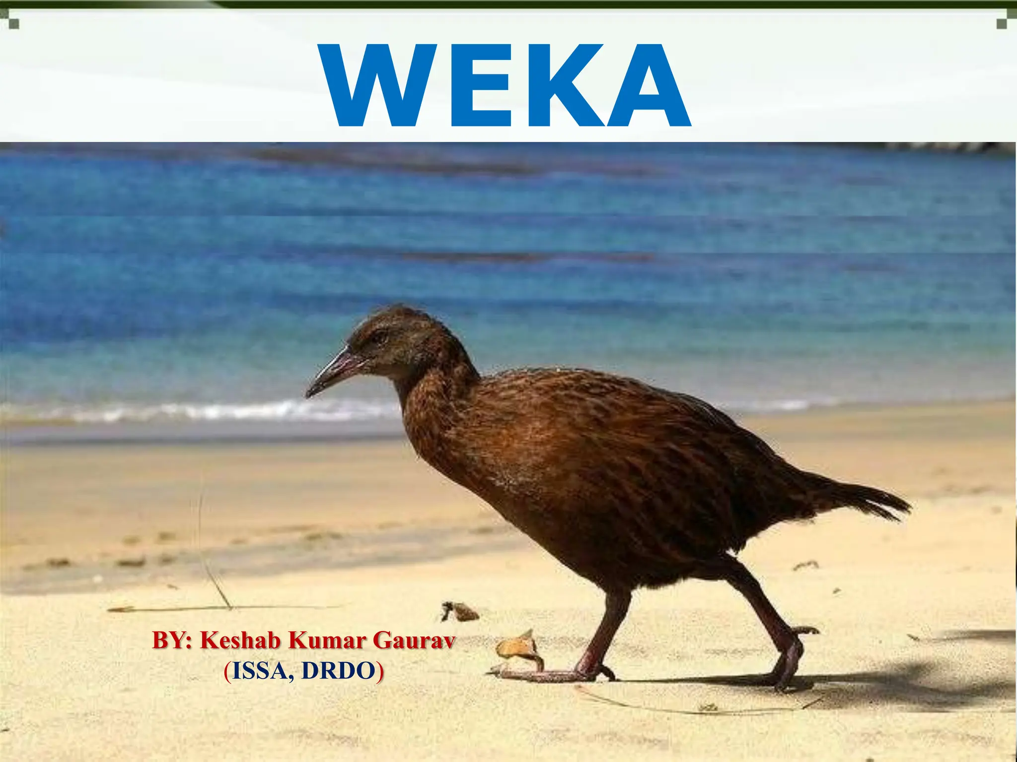 Weka A Machine Learning Algorithms For Data Mining Ppt