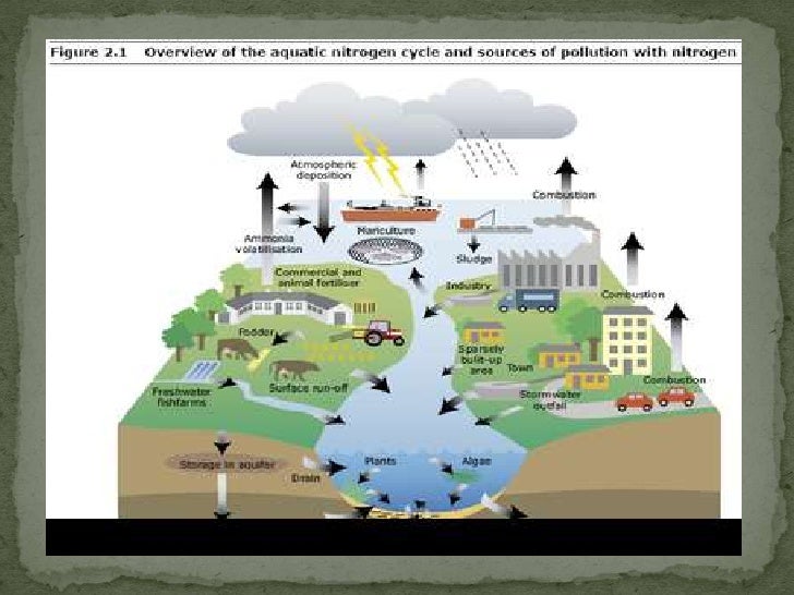 Earth's hydrosphere and water pollution