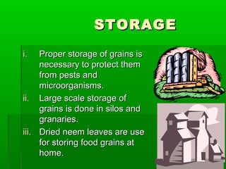 Crop Production And Management | PPT