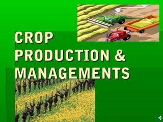 Crop Production And Management | PPT