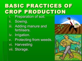 Crop Production And Management | PPT