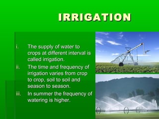 Crop Production And Management | PPT