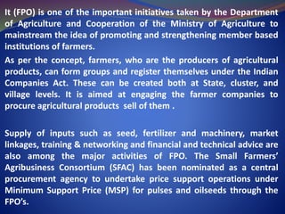 Producer Organizations(PO)An effective tool for Agricultural and rural ...