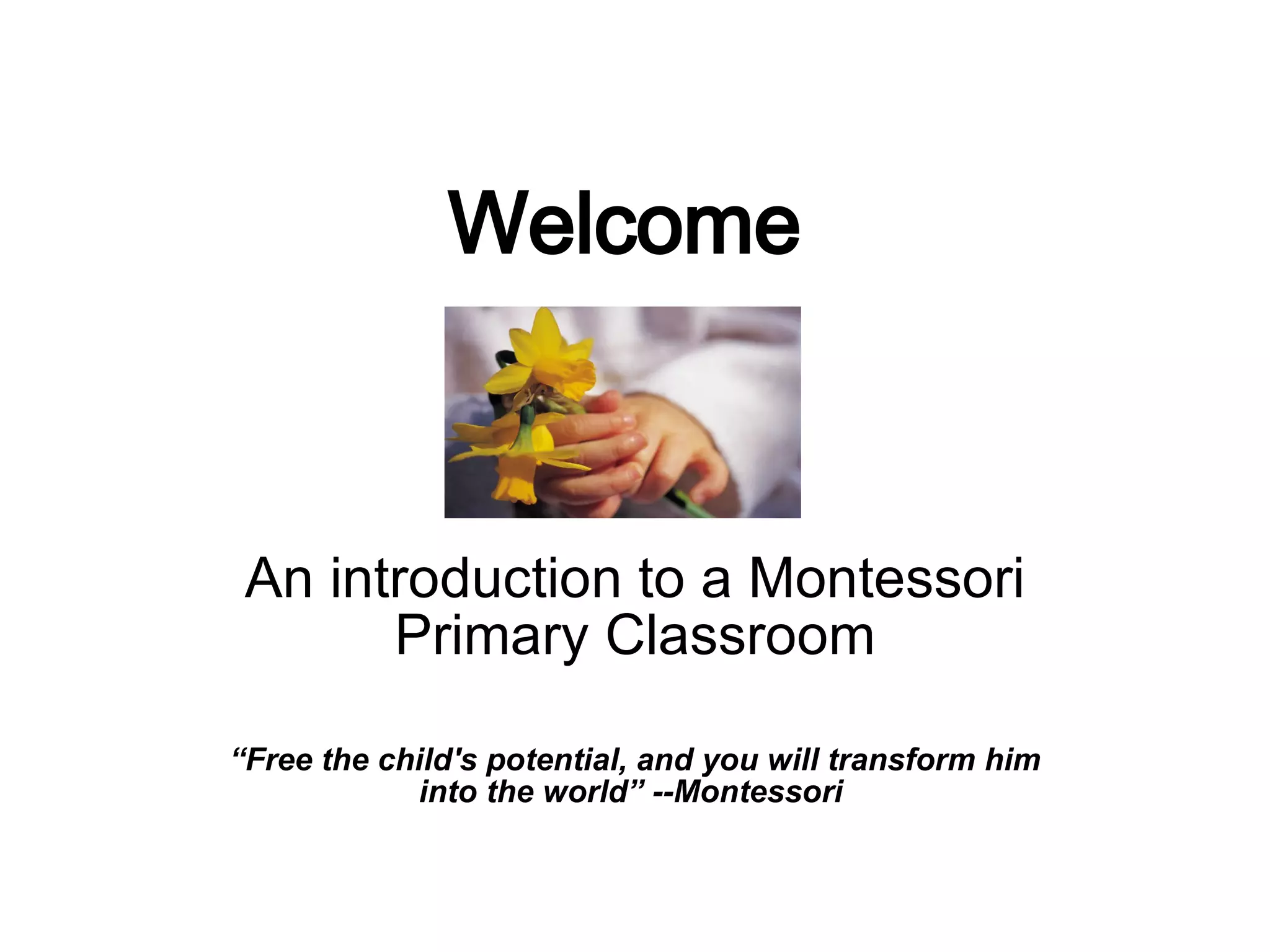 Introduction to the Montessori Method in the Primary Classroom | PPT ...
