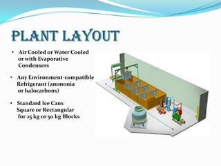 ICE PLANT | PPTX