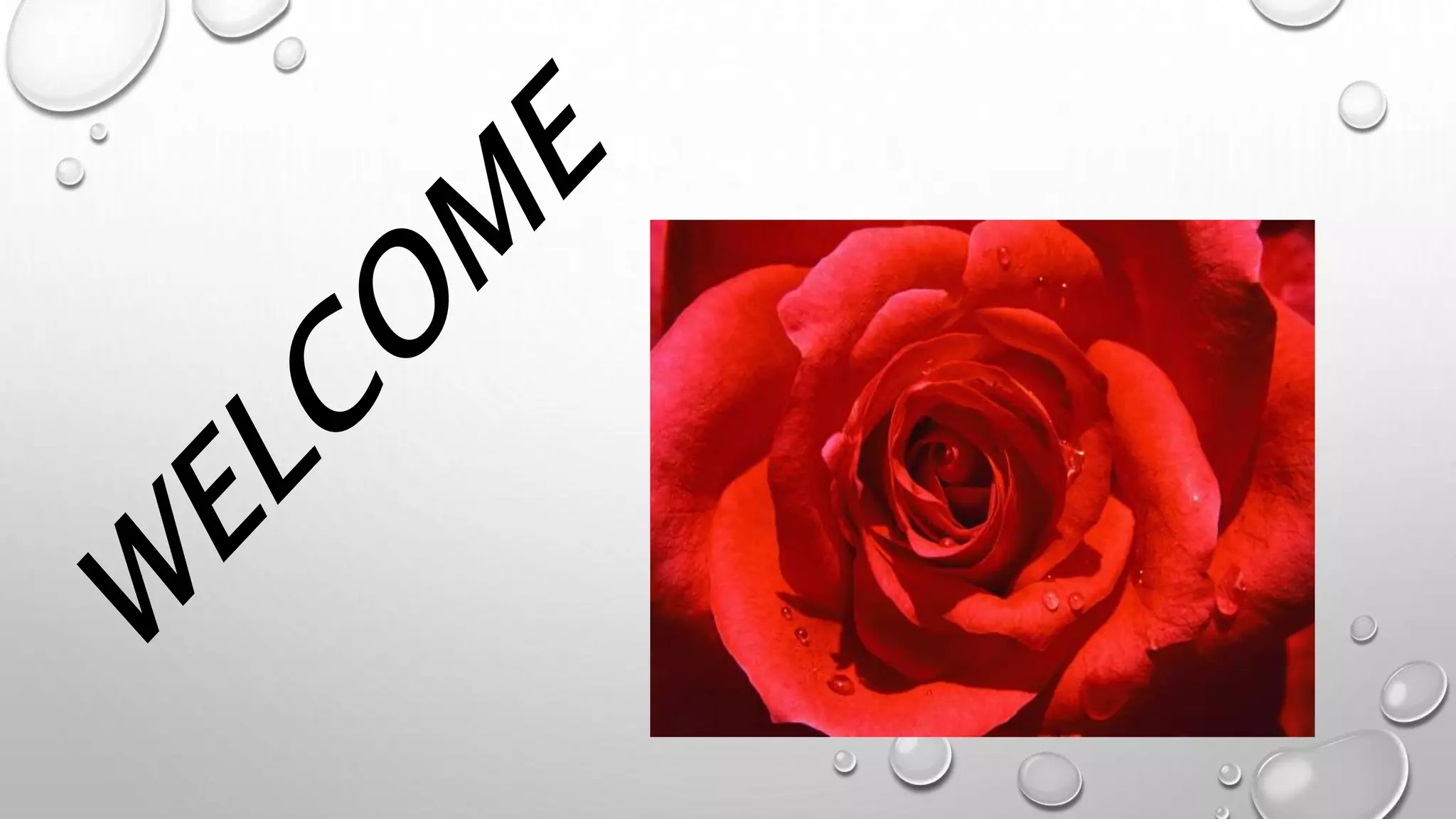 Middle East Respiratory Syndrome Coronavirus (MERS-CoV) | PPTX