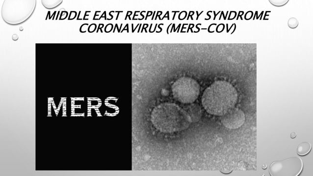 Middle East Respiratory Syndrome Coronavirus (MERS-CoV) | PPTX