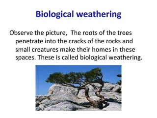 WEATHERING | PPT