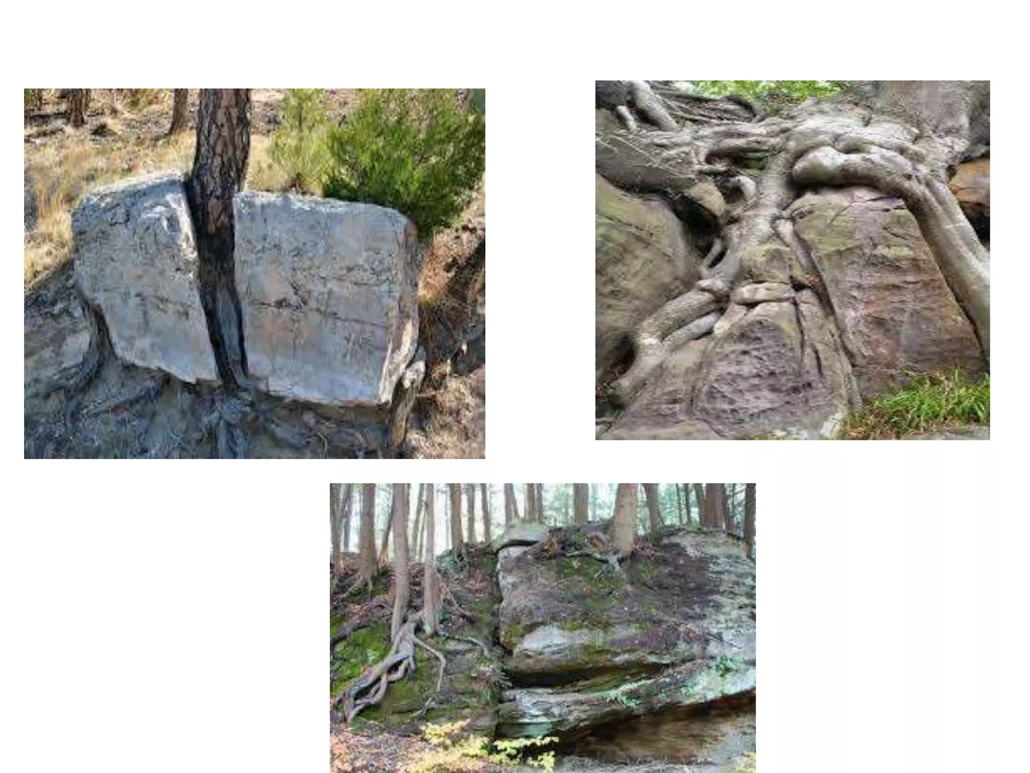 weathering | PPT