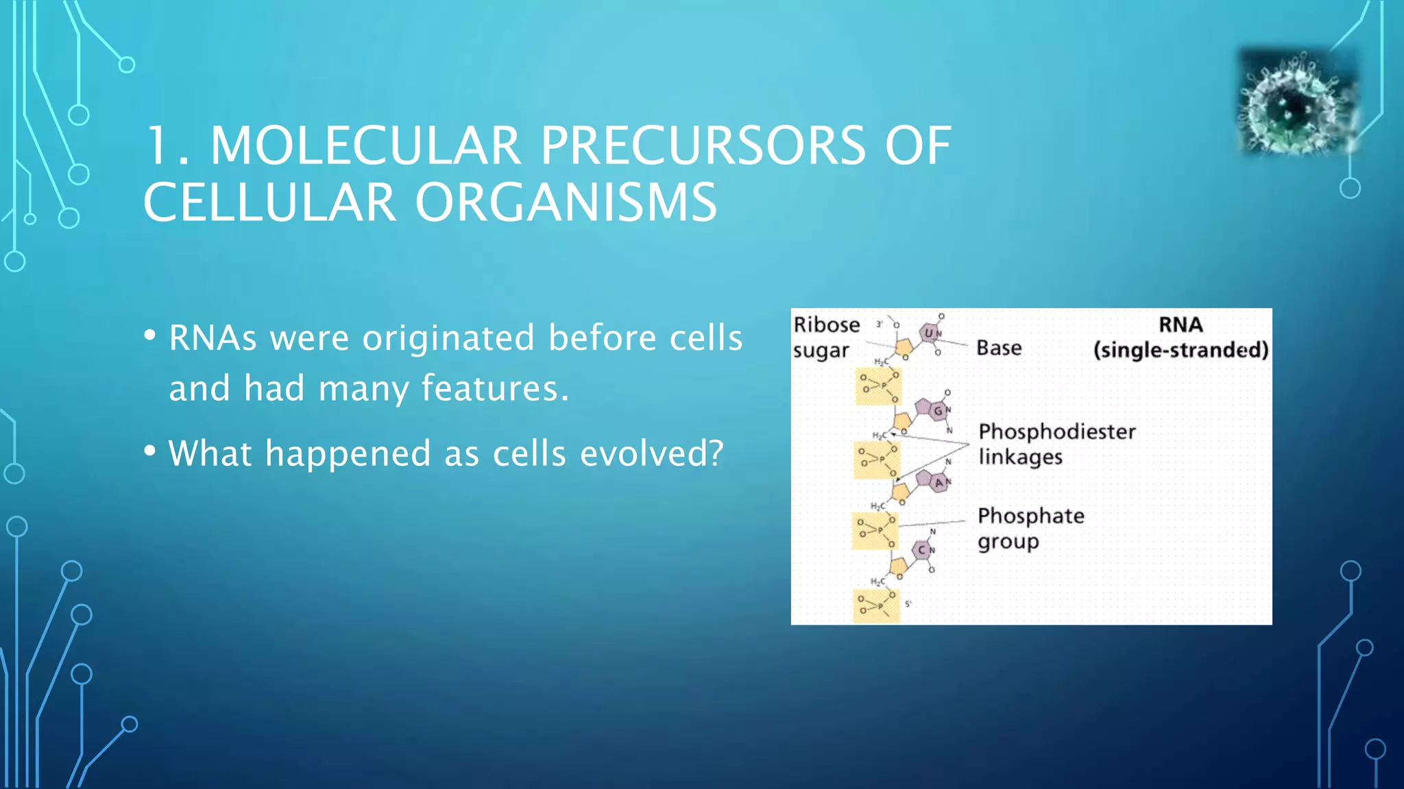 Viruses origin and Evolution | PPTX