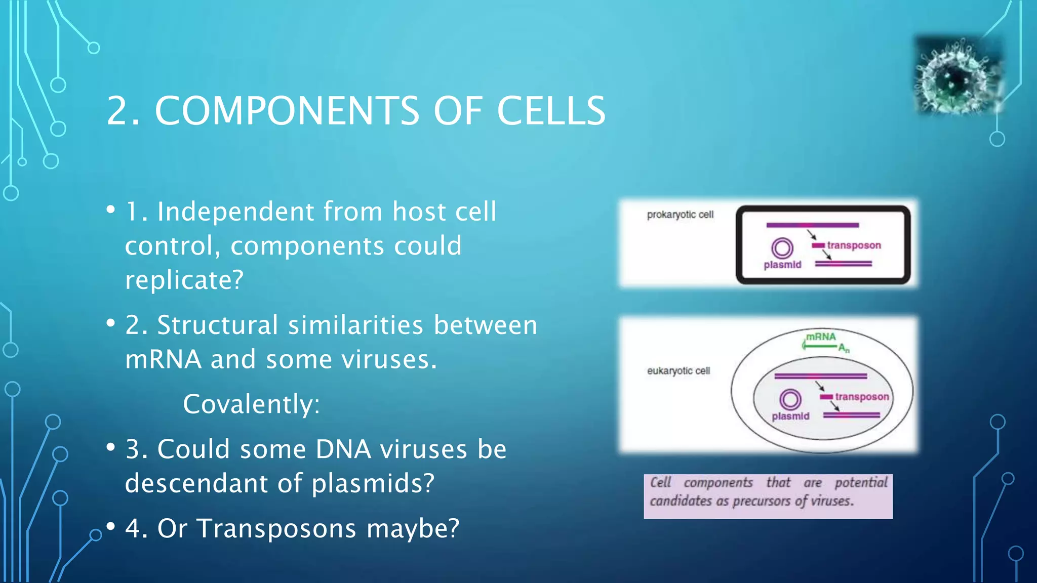 Viruses origin and Evolution | PPTX