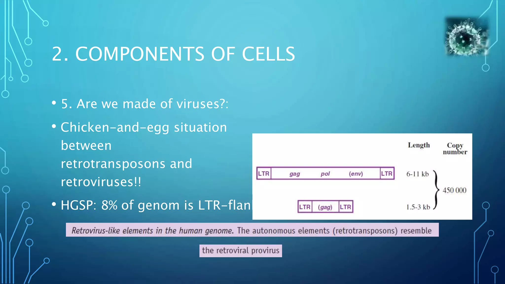 Viruses origin and Evolution | PPTX
