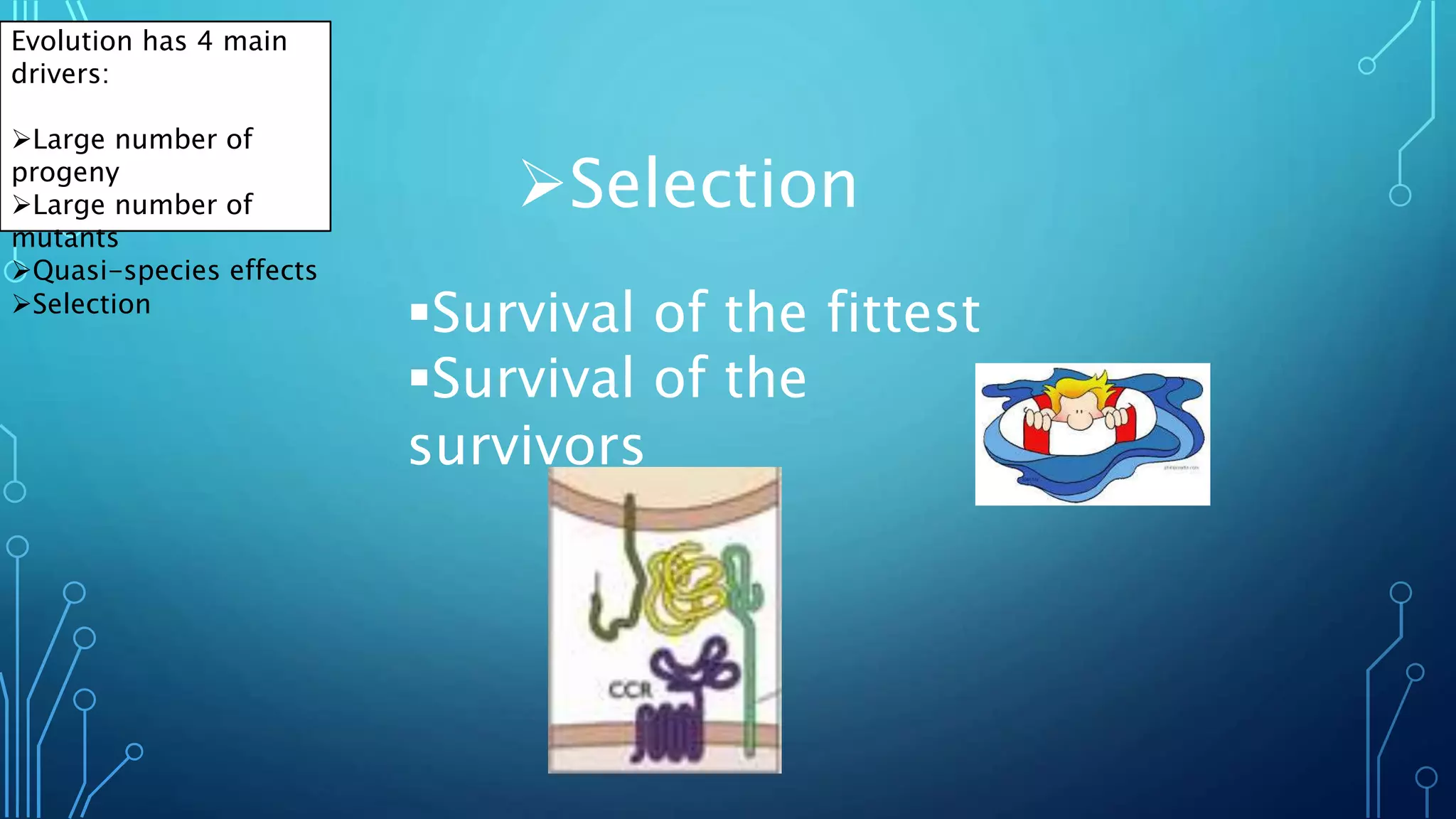 Viruses origin and Evolution | PPTX