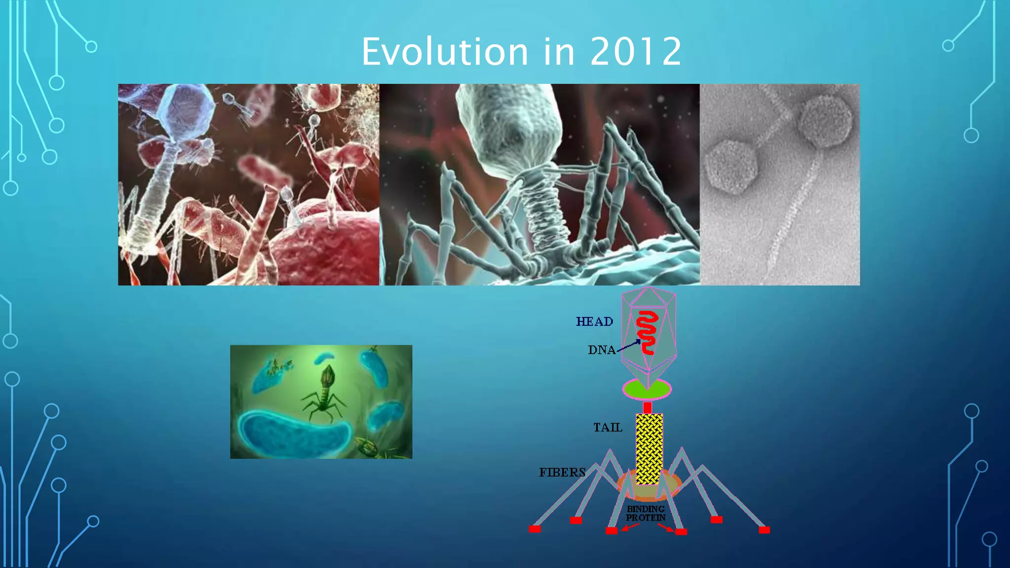 Viruses origin and Evolution | PPTX