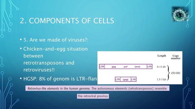 Viruses origin and Evolution | PPTX | Biological Sciences | Science
