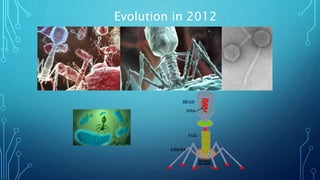 Viruses origin and Evolution | PPTX