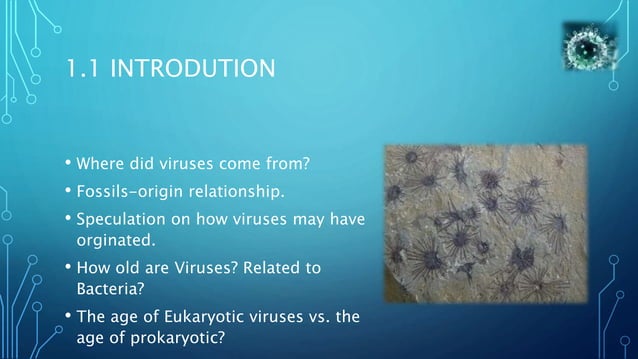 Viruses origin and Evolution | PPTX | Biological Sciences | Science