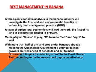 banana crpo | PPT