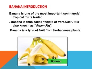 banana crpo | PPTX