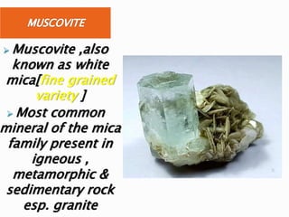 mud stone and white mica | PPTX | Geology | Science