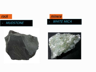 mud stone and white mica | PPTX | Geology | Science