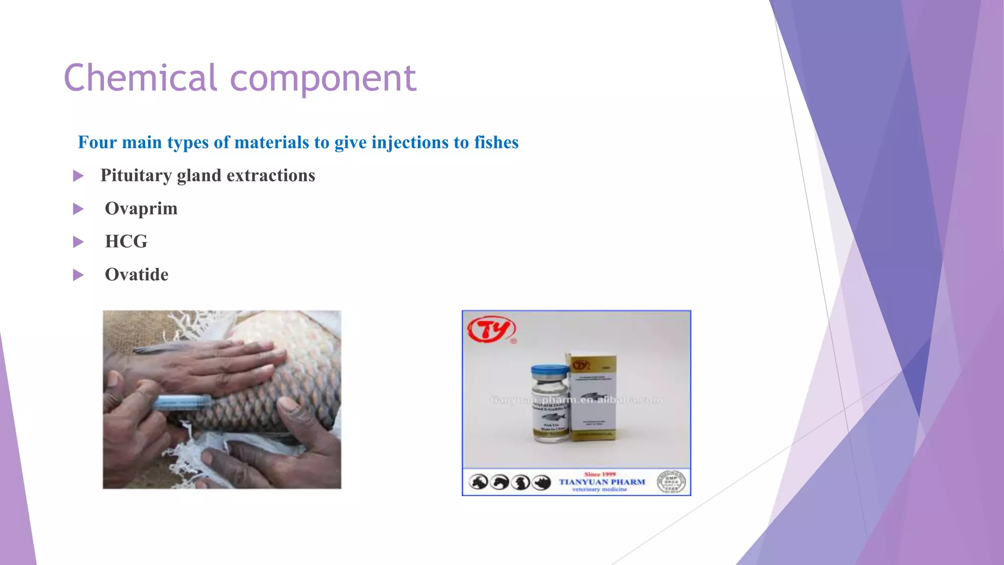 Hatchery Components of Fin fish and Shrimp | PPTX
