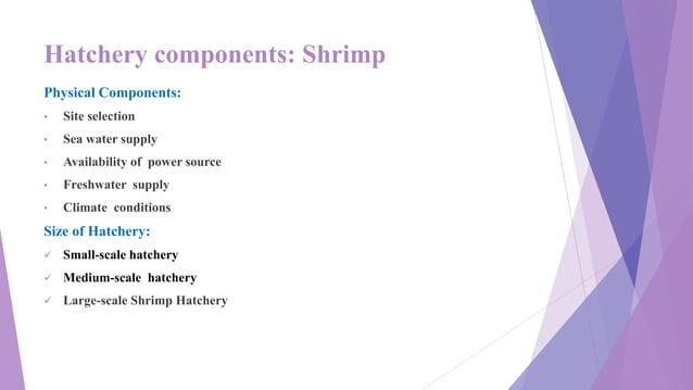 Hatchery Components of Fin fish and Shrimp | PPTX | Zoos & Aquariums ...