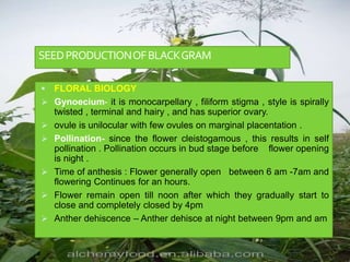 SEED PRODUCTION OG GREEN GRAM AND BLACK GRAM | PPTX