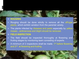 SEED PRODUCTION OG GREEN GRAM AND BLACK GRAM | PPTX